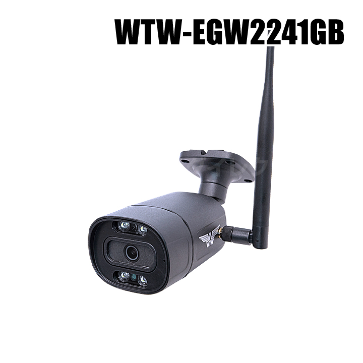【WTW-EGW2241GB】 500万画素 機器間Wi-Fi対応IPネットワークシリーズ 屋外仕様 防犯灯カメラ（代引不可・返品不可）