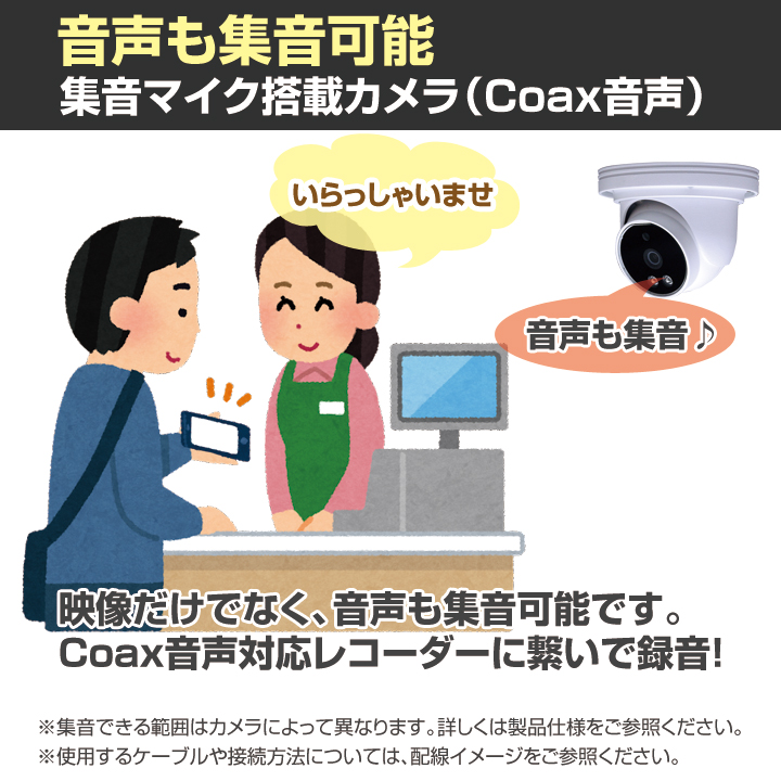 防犯カメラ1～4台セット【セット400-MIC】4chデジタルレコーダーの集音マイク内蔵カメラ追加オプションセット（HDD1～10TB選択）